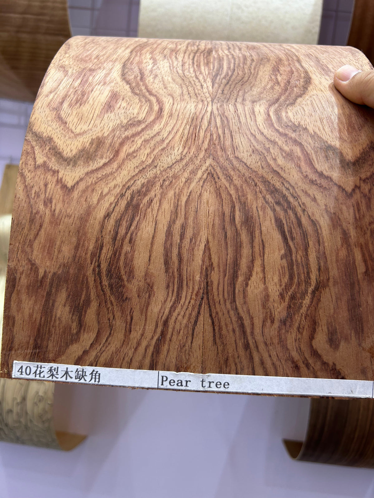 The Art of the Side: A Visit to BF Wood for Acoustic Guitar Tonewoods ...